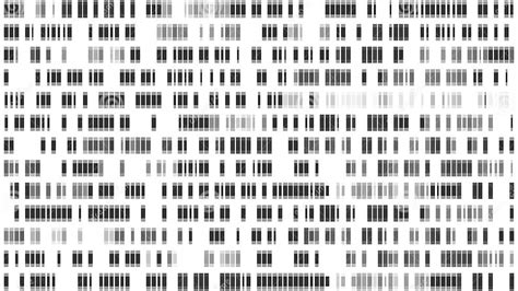 Dna Genetic Sequence Map With Chromosome Data Visualization In Black