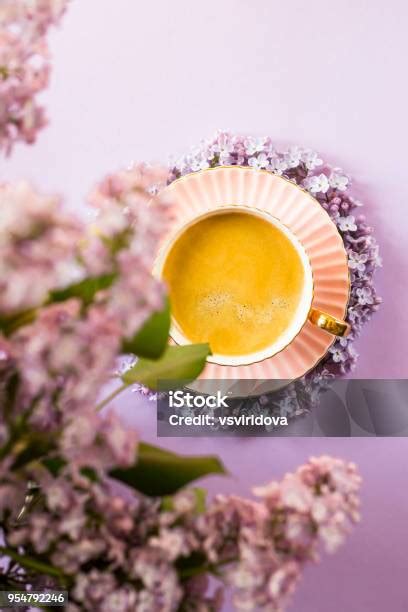 밝은 자주색 배경에 라일락 꽃과 커피의 핑크 컵 봄 개념입니다 평면도 평면 위치 0명에 대한 스톡 사진 및 기타 이미지 0명 기포 음료 꽃 나무 Istock