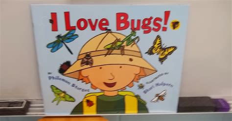 Build A Bug Kindergarten Creations