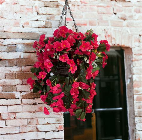 Hanging Basket With Trailing Nasturtium Fuchsia Dark Pink Self Assembly