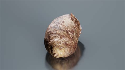 3d Manioc 2 Remastered Turbosquid 2362471