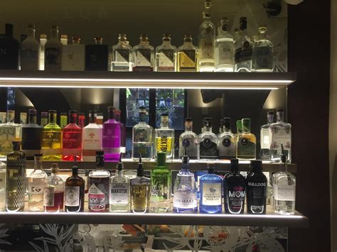 Historie A Vývoj Ginu Podle Boba Druhy Ginu