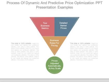 Dynamic Optimization PowerPoint Presentation And Slides PPT Example SlideTeam