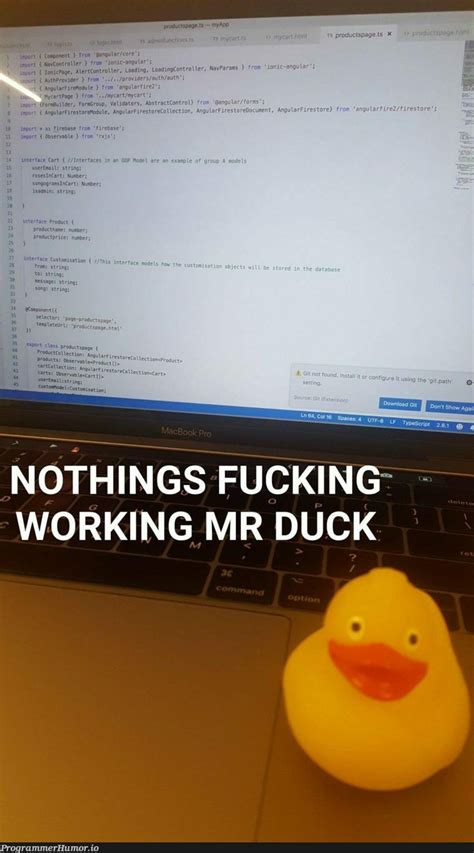 my friends experience with rubber duck debugging