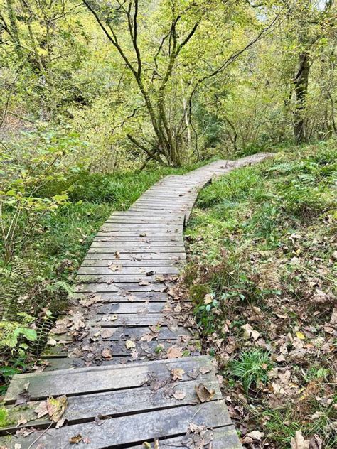 Falling Foss Waterfall Walk Scenic North York Moors Circular Trail