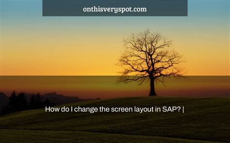 How Do I Change The Screen Layout In SAP On This Very Spot