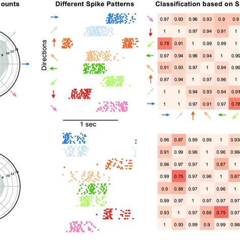 Image Classification Based On Neural Spike Patterns Left Four Stimulus Download Scientific