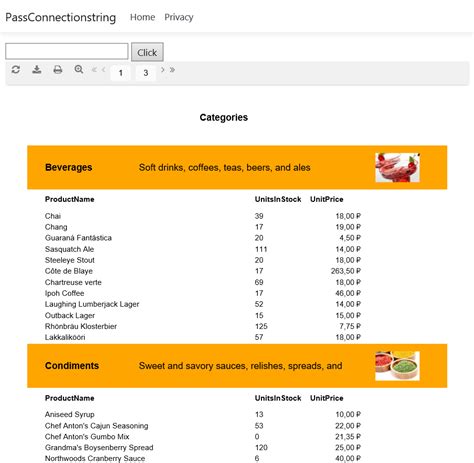 How To Pass A Connection String In The Web Report Fastreport Net