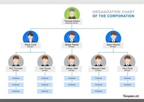 The Excellent 40 Organizational Chart Templates Word Excel Powerpoint Regarding Company