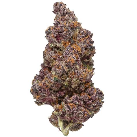 Trop Cherry Flow Gardens