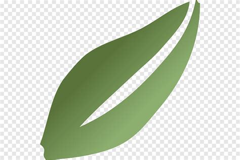 마리화나 잎 테두리 기타 잎 Png Pngegg