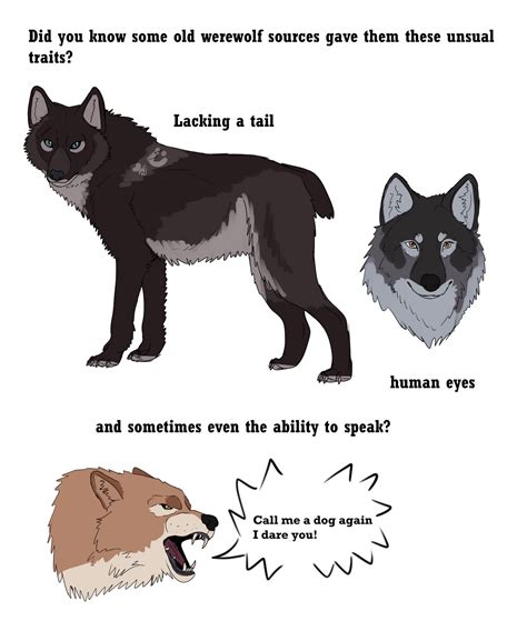 Werewolf Facts 1 By Mythologysleuth On Deviantart