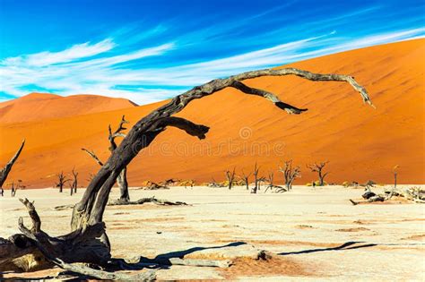 The Namib Desert Stock Photo Image Of Sand Orange 322023814