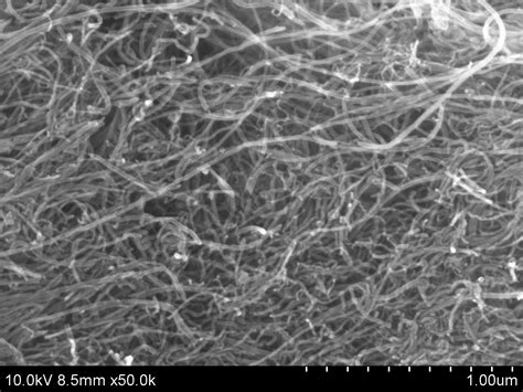 Multiwalled Carbon Nanotubes