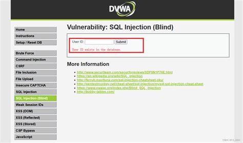 渗透测试 Sql注入漏洞逻辑分析sql渗透测试 Csdn博客