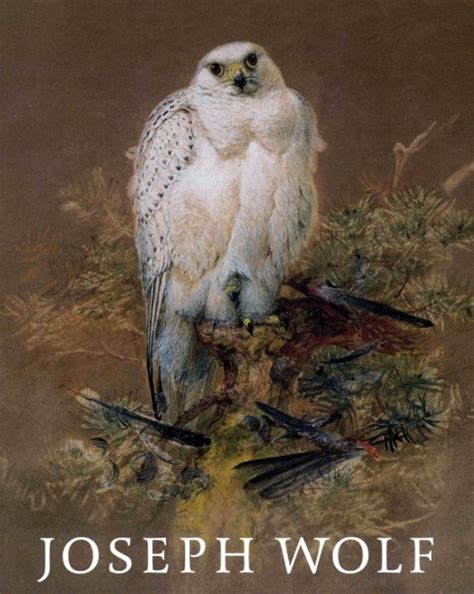 Künstlerkatalog: Joseph Wolf (1820–1899) - Tiermaler