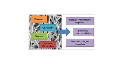 Properties Of Electrospun Fibers That Influence Foreign Body Response