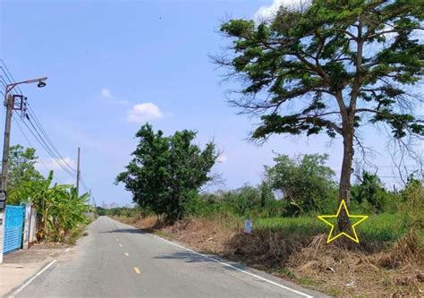 ขายที่ดิน ราคาประเมิน 400 ตรว ซ บึงบอน3 รังสิต คลอง8 หนองเสือ ปทุมธานี Kaidee