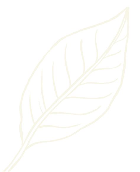 My Story Soul Inspired Wellbeing