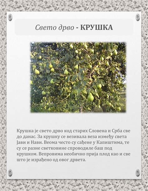 Чертог Вепра Дигитални Читалићи Шарбановац Словенска митологија