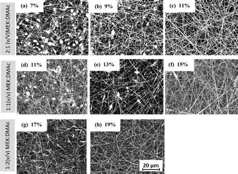 sem micrographs showing effect of polymer concentration and solvent