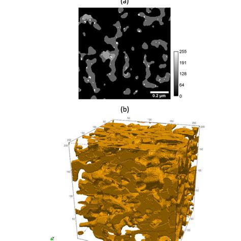 Processed Images And Reconstructed Microstructure A Grey Scale Image