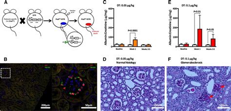 Validation Of A Three Dimensional Method For Counting And Si Journal Of The American