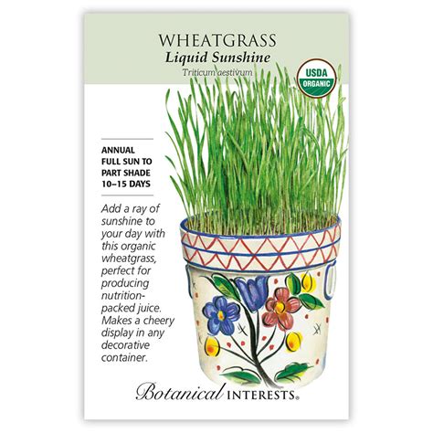 Wheatgrass Organic Chlorophyll