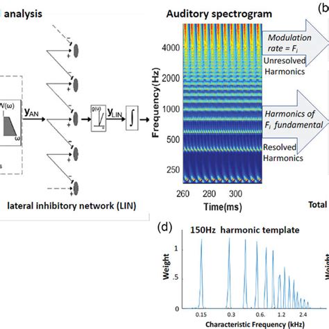 Color Online Schematics Of The Computational Stages In The Download Scientific Diagram