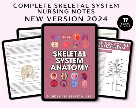 Ultimate Skeletal System Notes Intro To Skeletal System Skeleton Anatomy Major Bones Diagrams