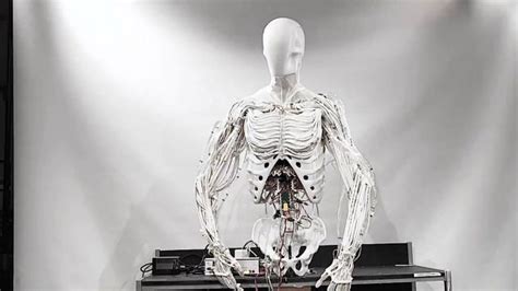 Clone Introduces Android With Working Artificial Muscles Gamereactor