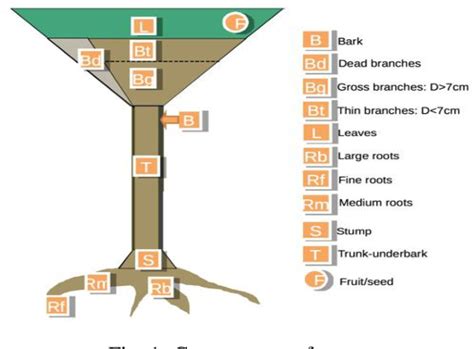 Figure 1 From Estimation Of Above Ground Biomass Of Trees In Bits Pilani Dubai Campus