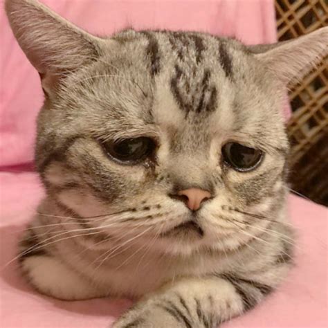 spring boot online exam 基于Spring Boot的在线考试系统 预览地址 账户分别是adminteacher