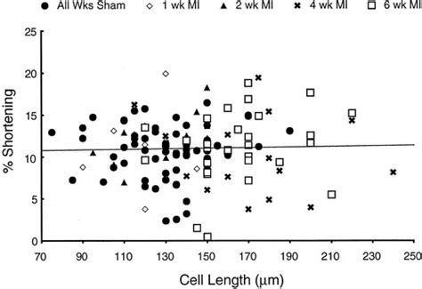 Normal Lv Function Medical Abbreviation Paul Smith