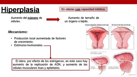 Repblica Bolivariana De Venezuela Universidad Nacional Experimental