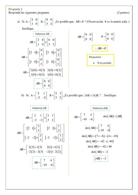 SOLUTION Ejercicios Matrices Studypool