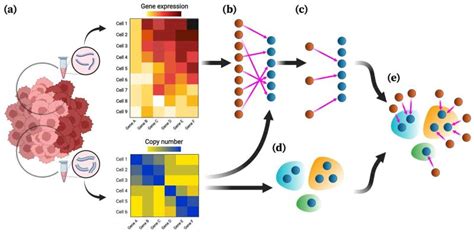 Prajjwal Pandey On Linkedin Data Processing Tool Could Enable Better Early Stage Cancer Detection