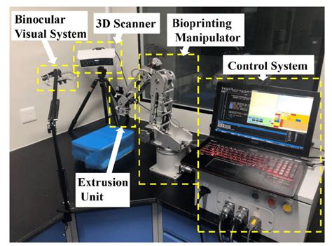Figure S1 The Composition Of The Adaptive Multi Degree Of Freedom In Download Scientific