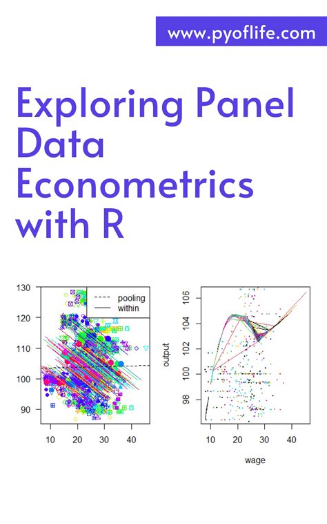 exploring panel data econometrics with r