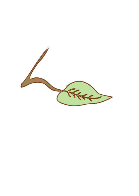Leaf Openclipart
