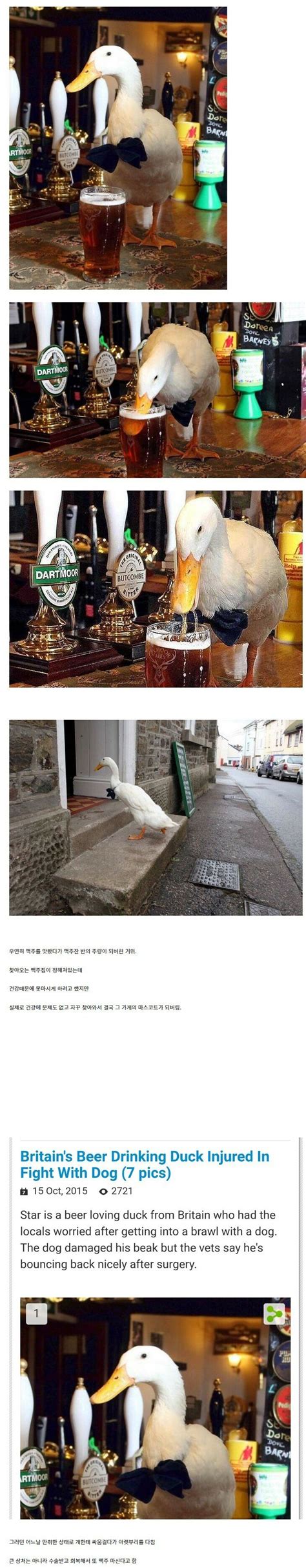 영국술집 단골손님 유머움짤이슈 에펨코리아