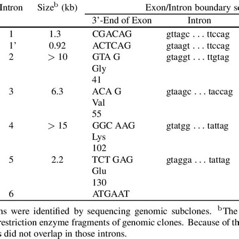 Exon Intron Boundary Sequences Of The Human α Synuclein Gene Download Table