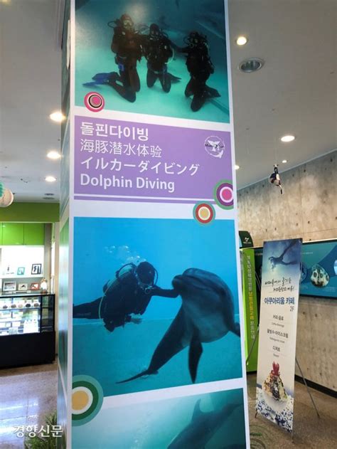 10년 간 절반이 죽어갔다···돌고래 수족관은 잔인한 수용소 네이트 뉴스