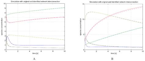 Simulation Of Chemical Reaction Networks Simulation Of The Network