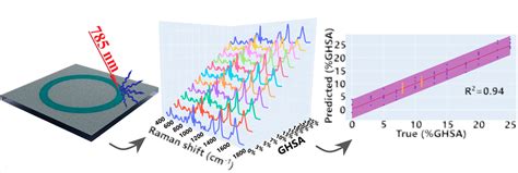 Chemosensors Free Full Text Sers Sensor For Human Glycated Albumin Direct Assay Based On