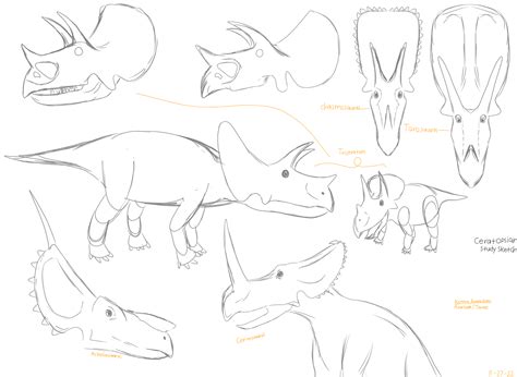 Ceratopsian Sketch Practice By Azurilyum On Deviantart
