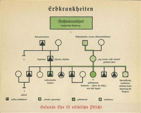 나치 독일은 어떻게 아이들을 세뇌시켰는가 나치의 교육용 포스터 인스티즈 Instiz 이슈 카테고리