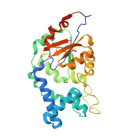 Rcsb Pdb 7ef6 Crystal Structure Of Xanthosine Monophosphate Phosphatase In The Unliganded State