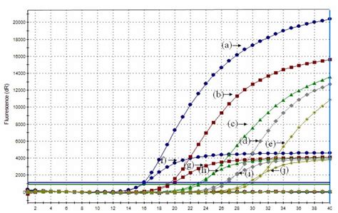 Amplification Curves Of Duplex Real Time Pcr For Detection Cpa And Cpb2 Download Scientific