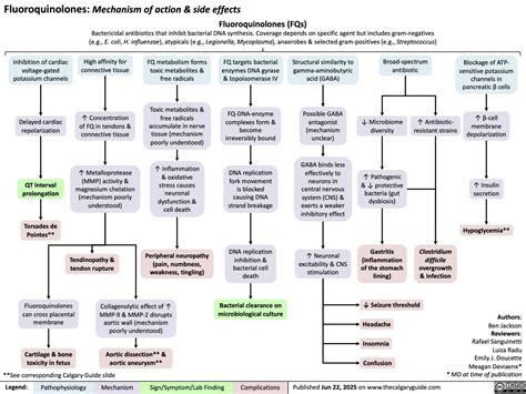 Fluoroquinolones Calgary Guidecalgary Guide